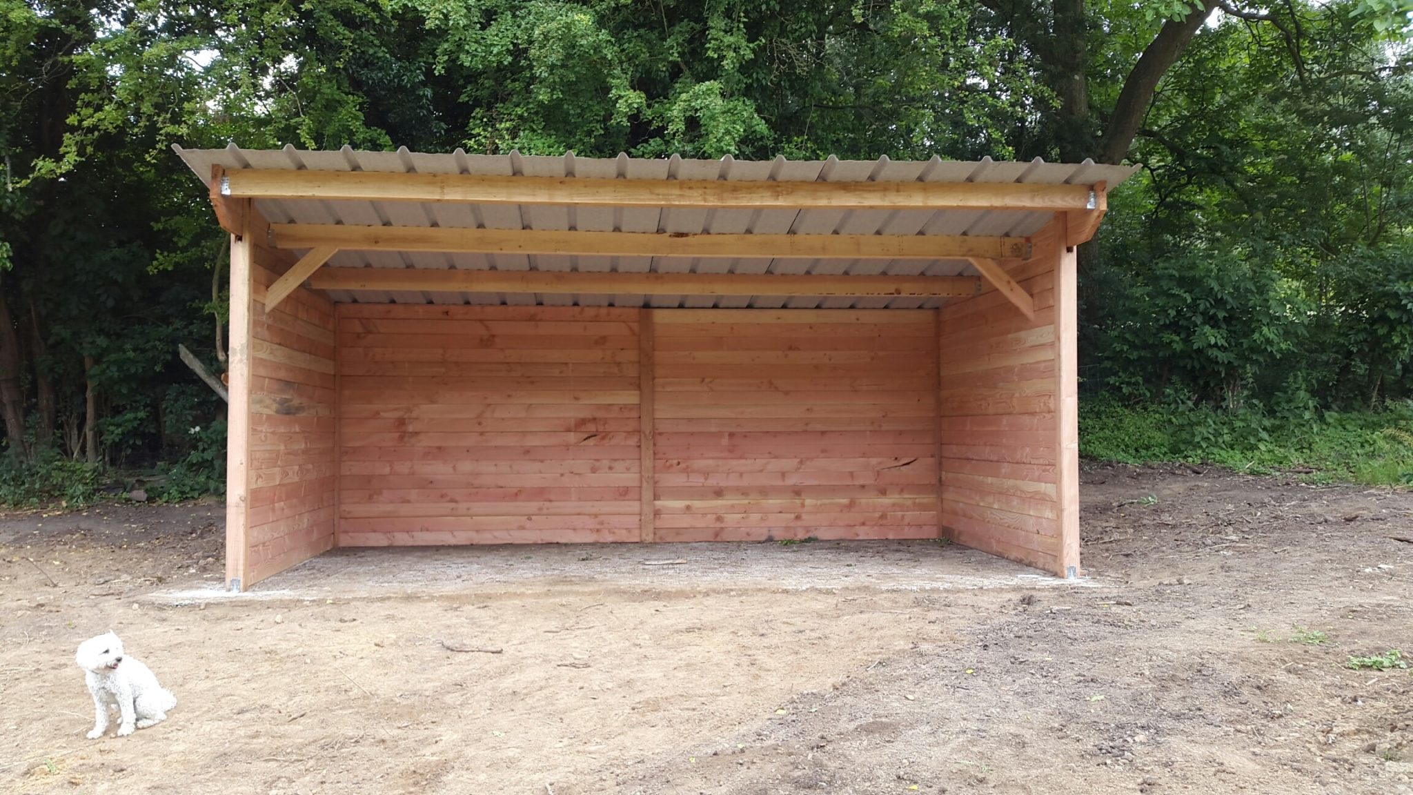 Abri de prairie pour chevaux - LCI LOCATION